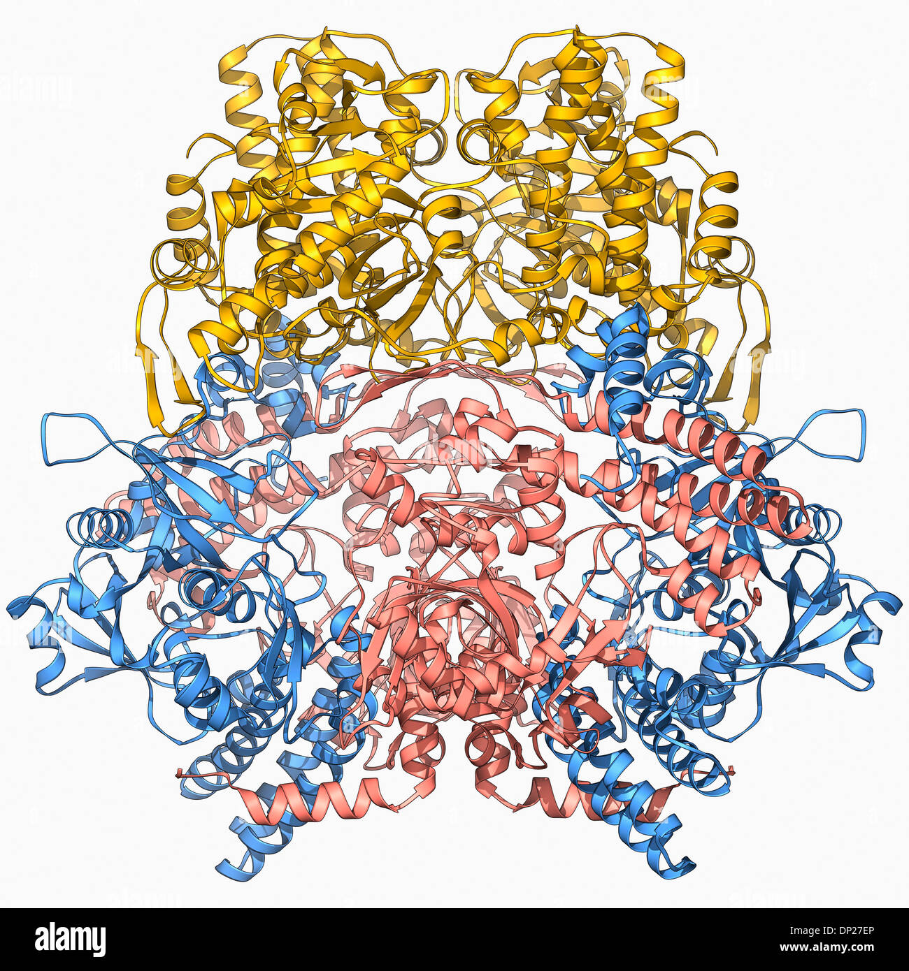 Bleomycin hydrolase molecule Stock Photo - Alamy