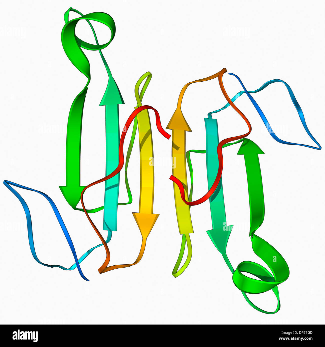 Venom Of Snakes With Diagram Zoology