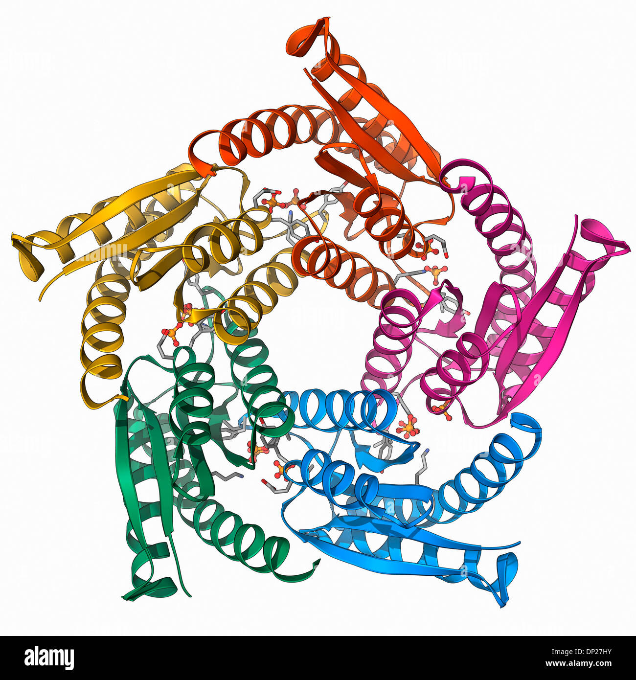 Lumazine synthase hi-res stock photography and images - Alamy