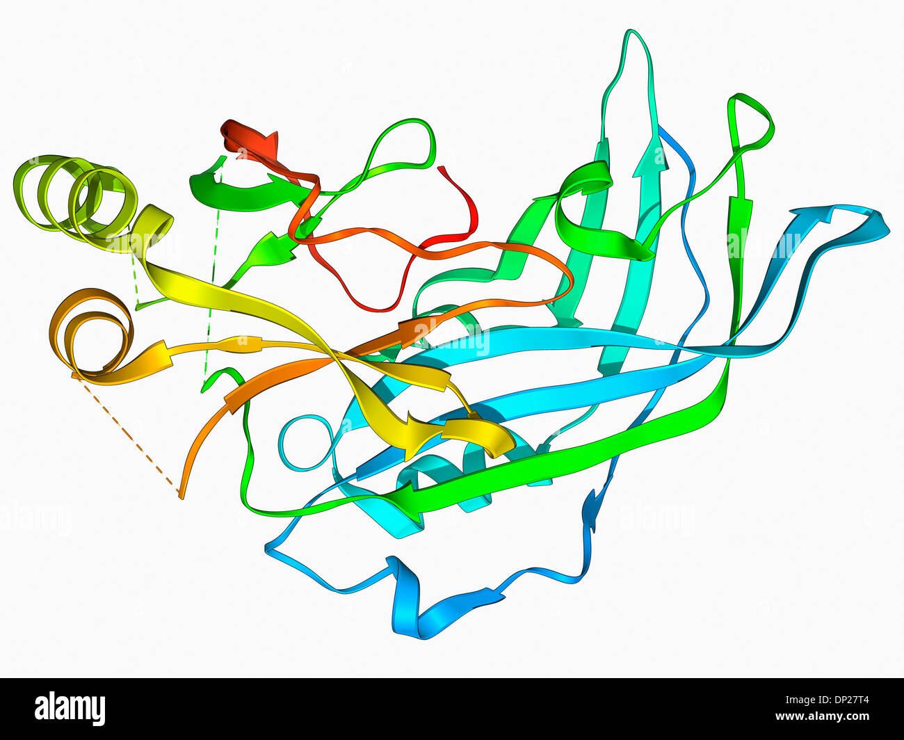 Viral matrix protein hi-res stock photography and images - Alamy