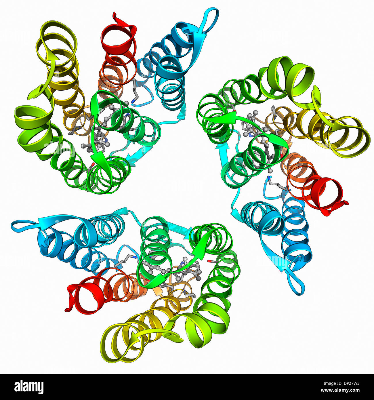 Protein tertiary structure hi-res stock photography and images - Alamy