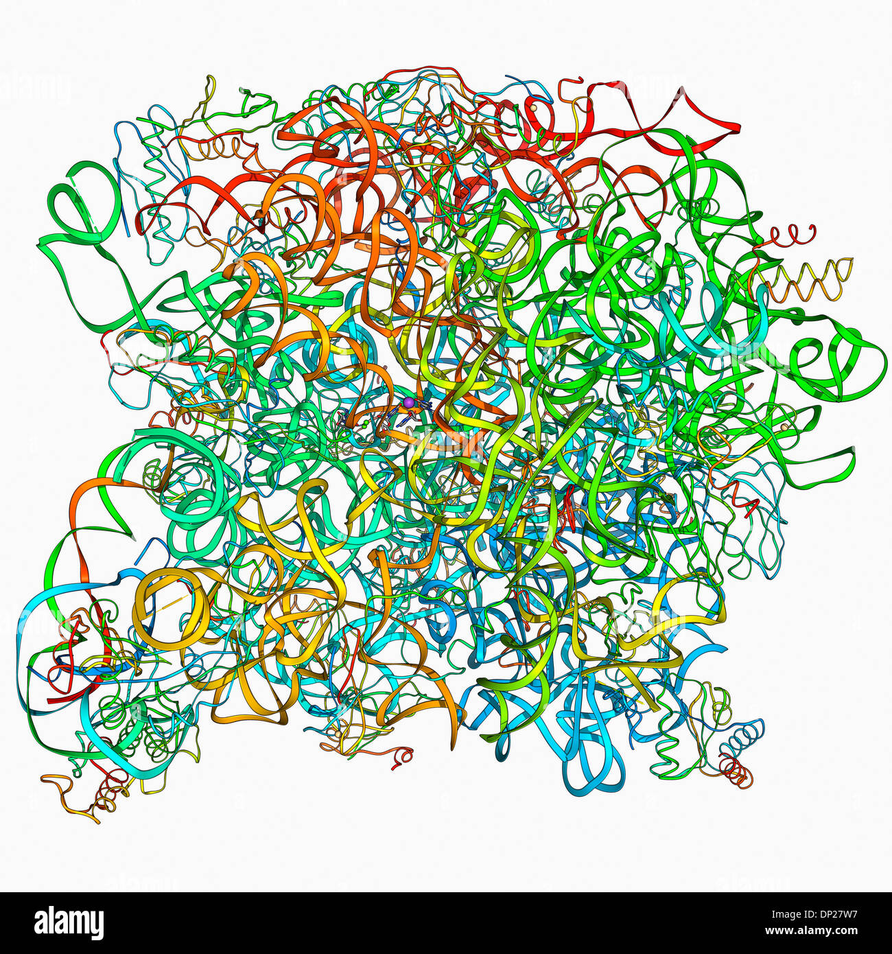 Ribosome structure hi-res stock photography and images - Alamy