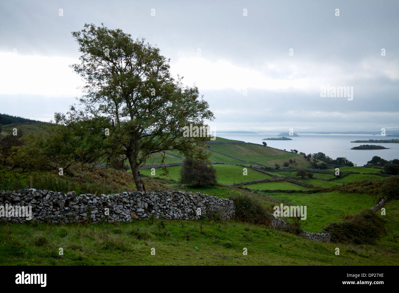 Irish dry stacked stone walls hi-res stock photography and images - Alamy