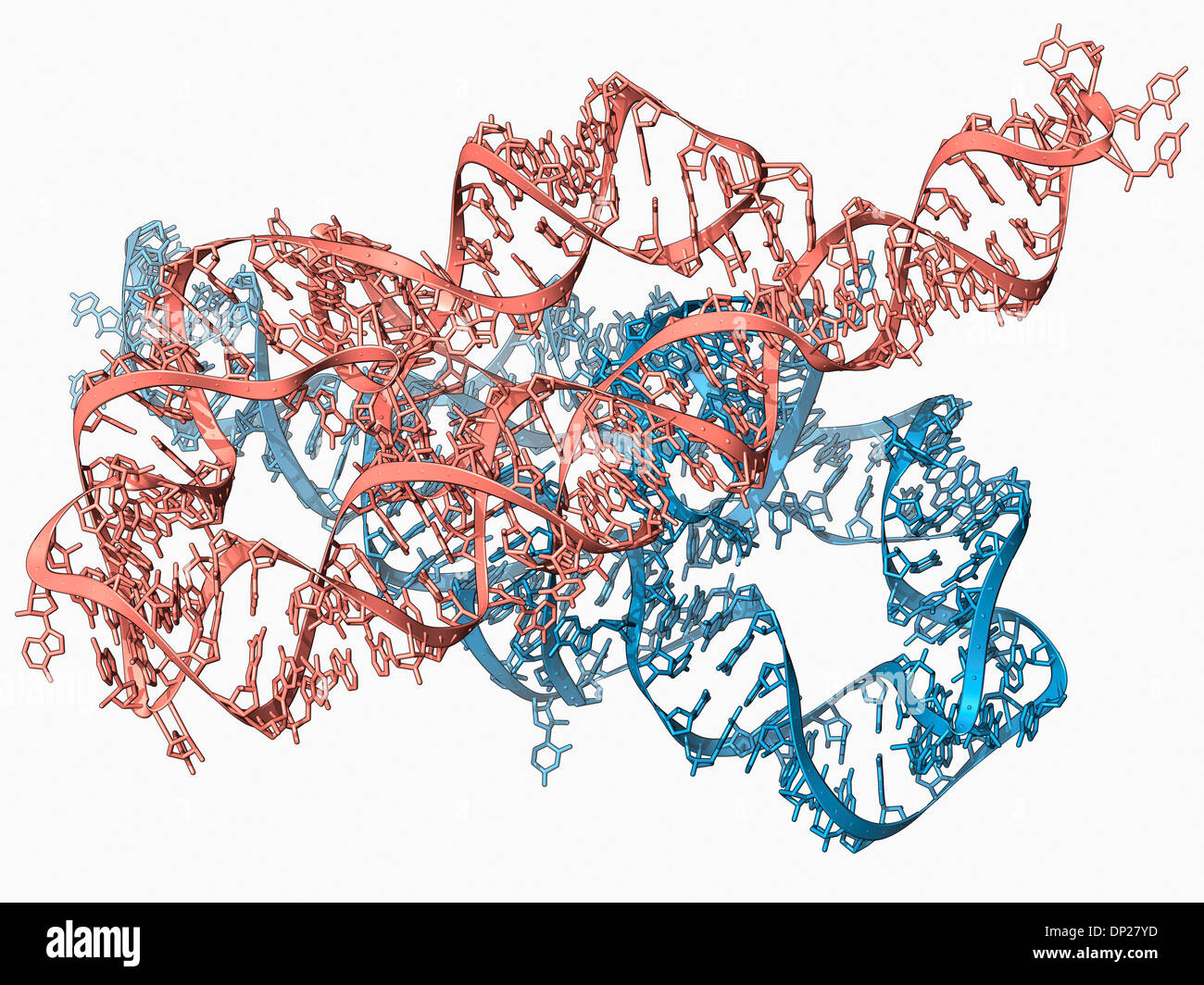 Ribozyme enzyme and RNA Stock Photo - Alamy