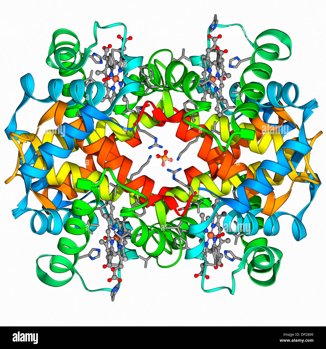 Haemoglobin High Resolution Stock Photography and Images - Alamy