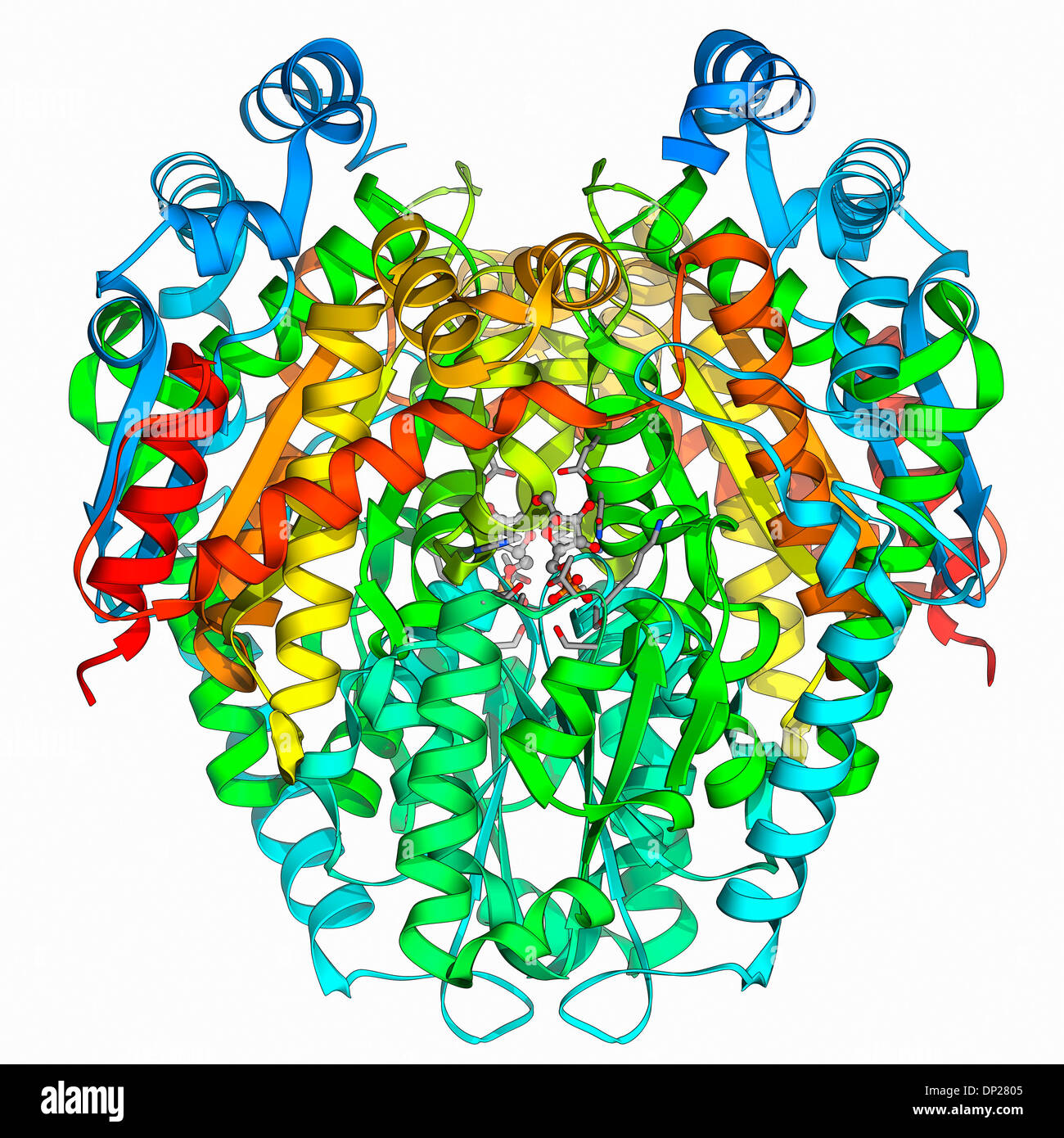 Phosphoglucose isomerase molecule Stock Photo - Alamy