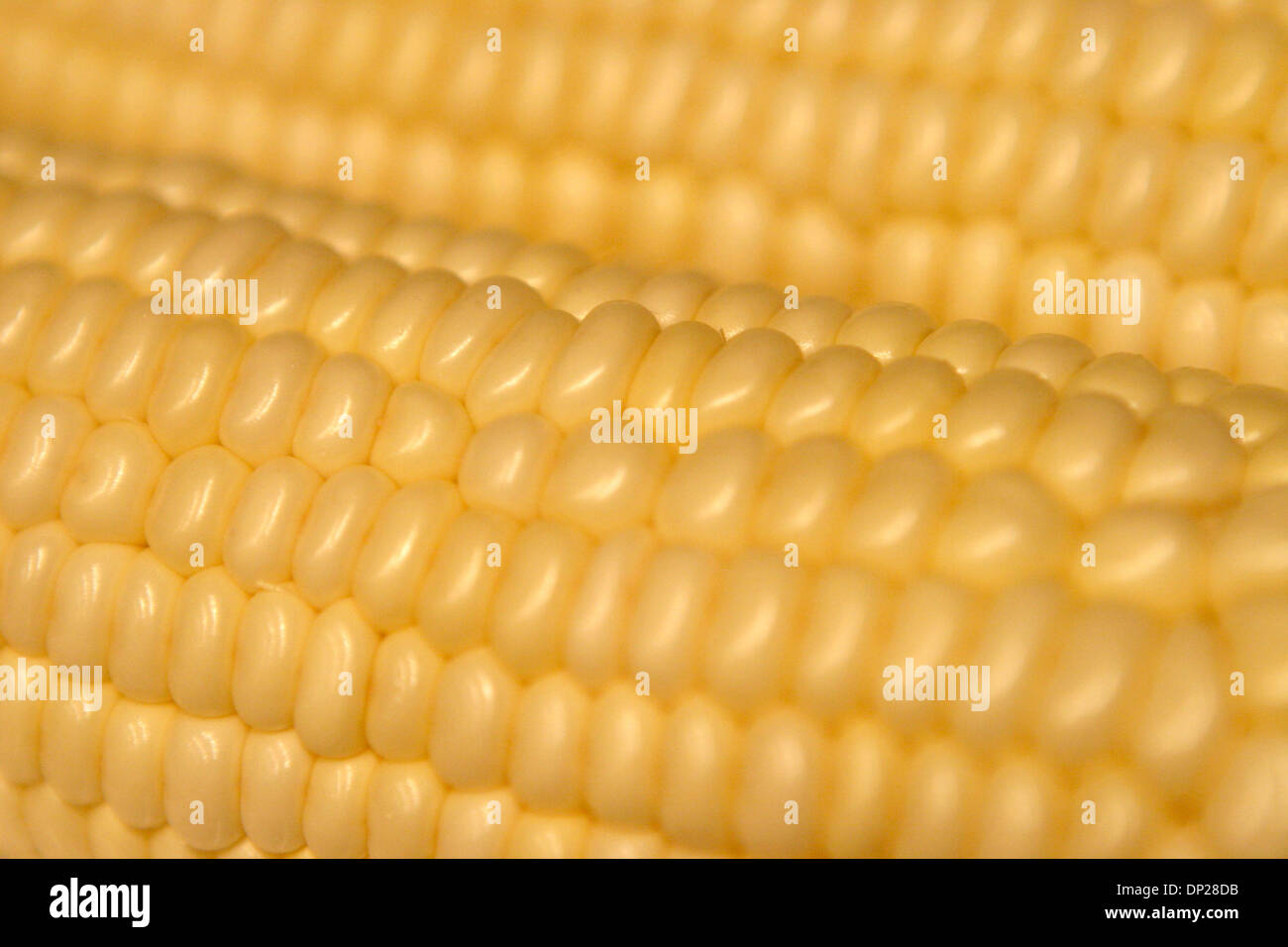 May 21, 2006; Los Angeles, CA, USA; Yellow corn for sale at the Farmer ...