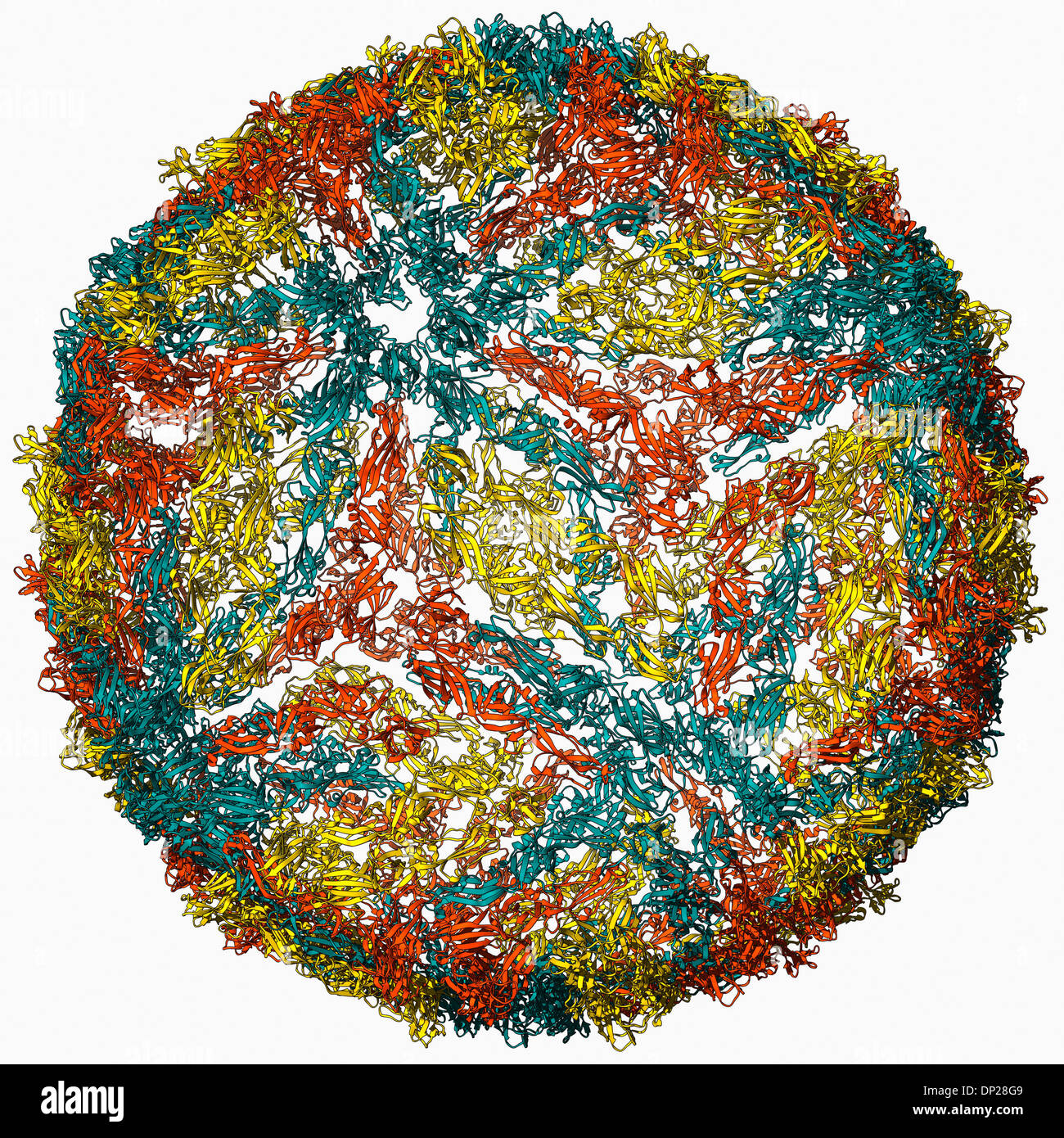 Structure dengue virus denv hi-res stock photography and images - Alamy