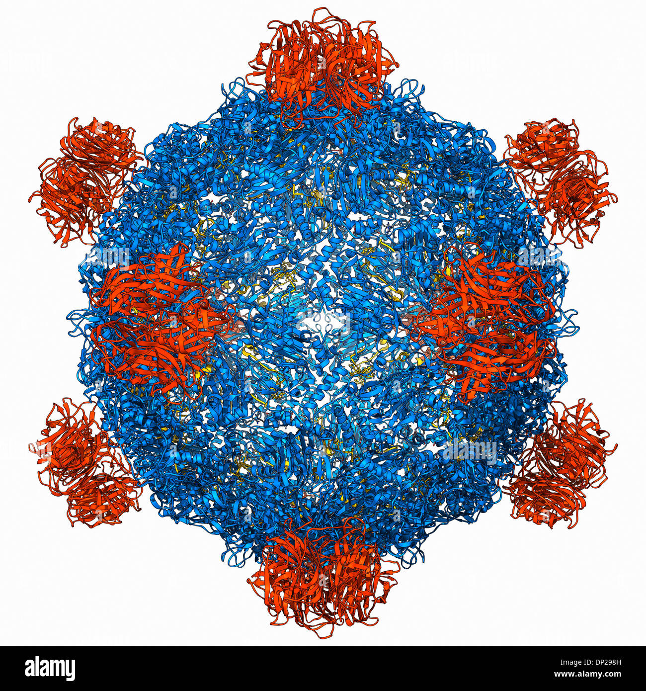 Bacteriophage structure hi-res stock photography and images - Alamy