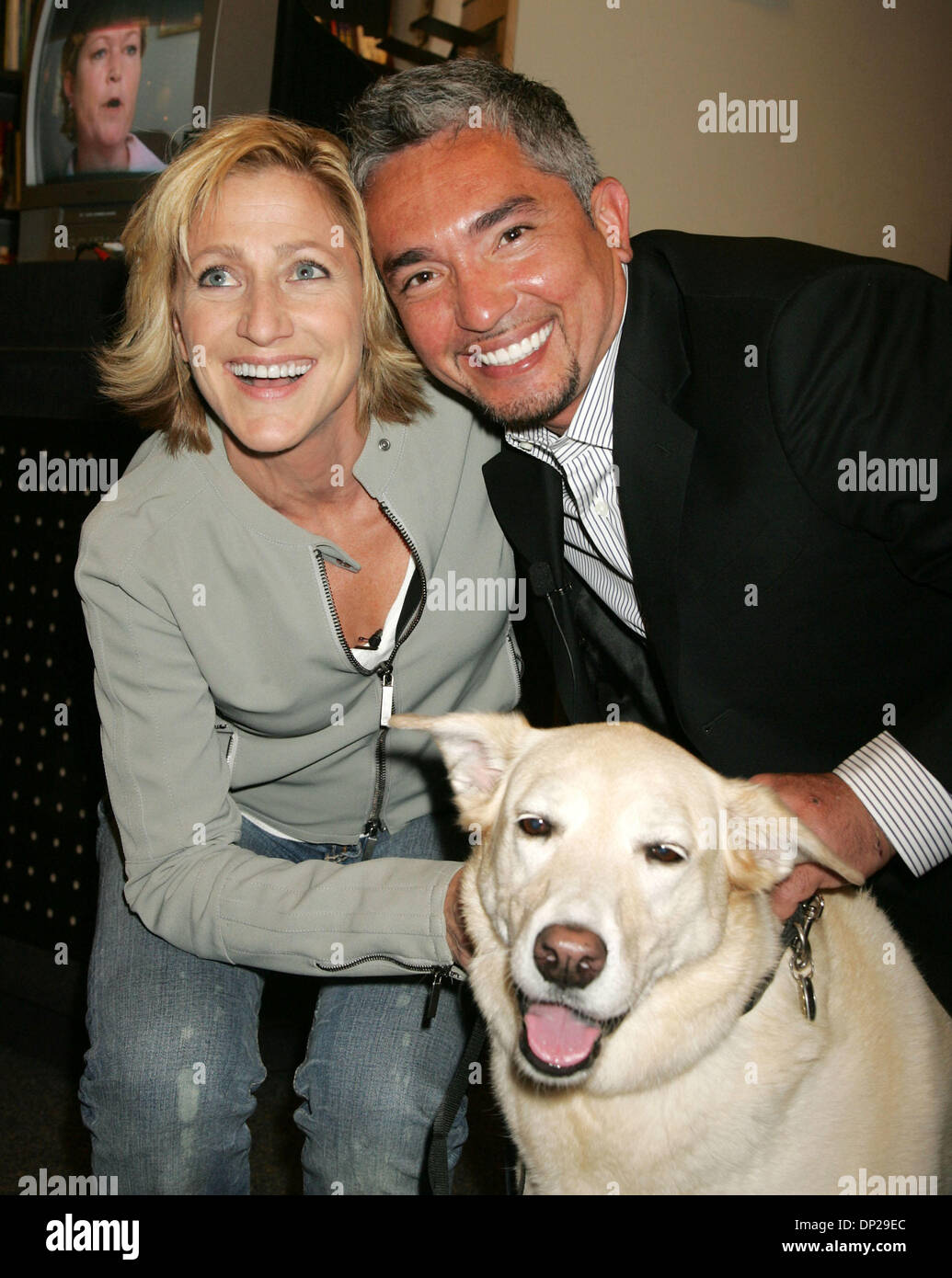 May 23, 2006; New York, NY, USA; Actress EDIE FALCO and her dog MARLEY ...