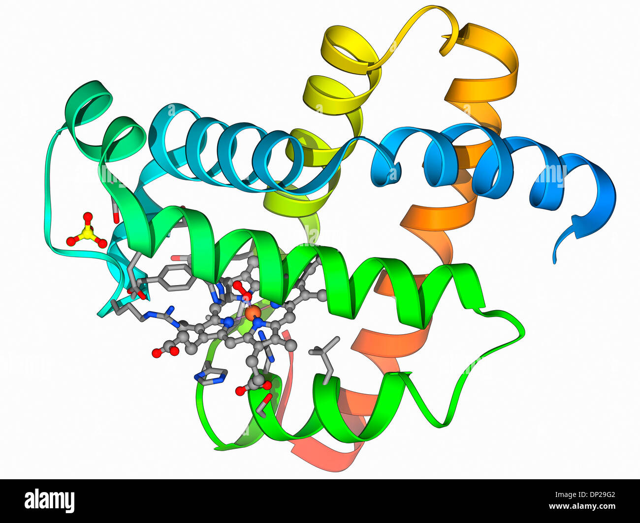 Globin hi-res stock photography and images - Alamy