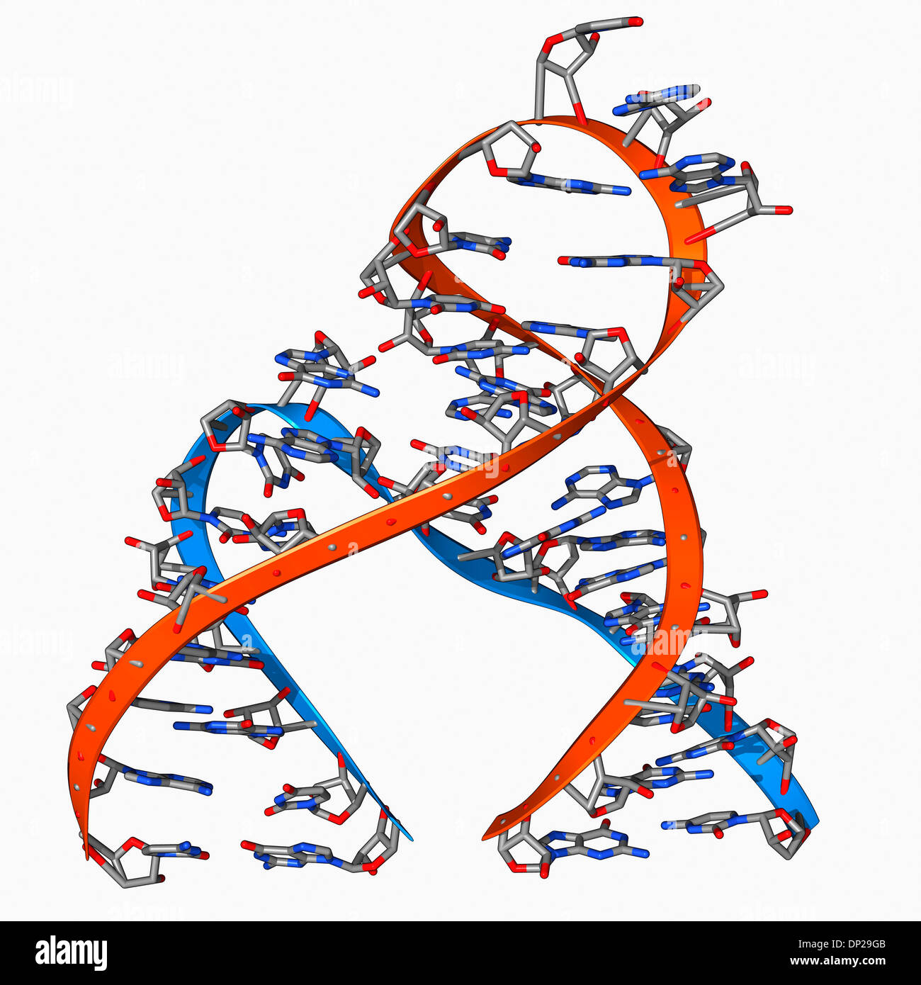 Hammerhead ribozyme molecule Stock Photo - Alamy