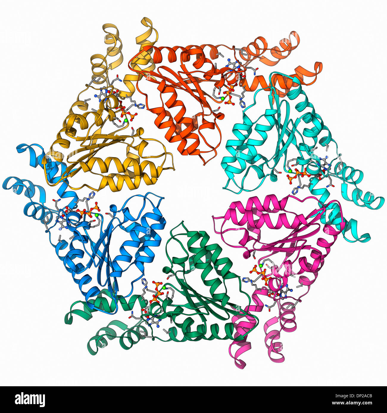Atpase structure hi-res stock photography and images - Alamy