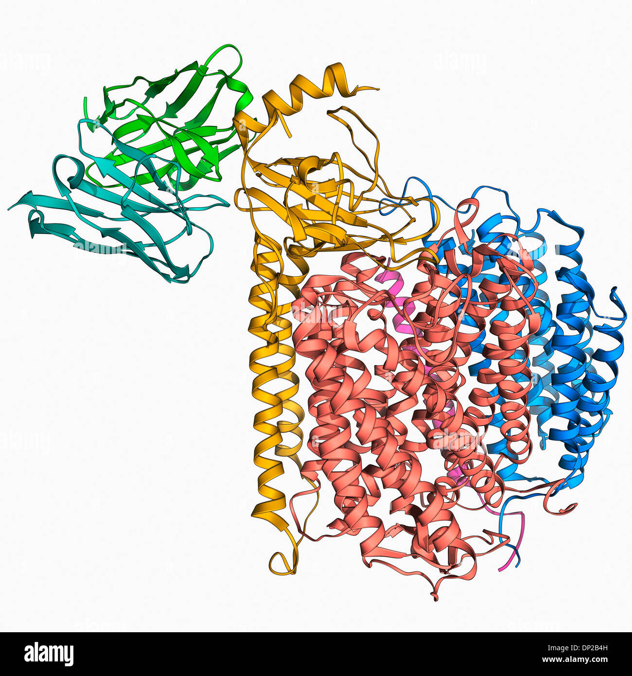 Structure of enzyme cytochrome c hi-res stock photography and images ...