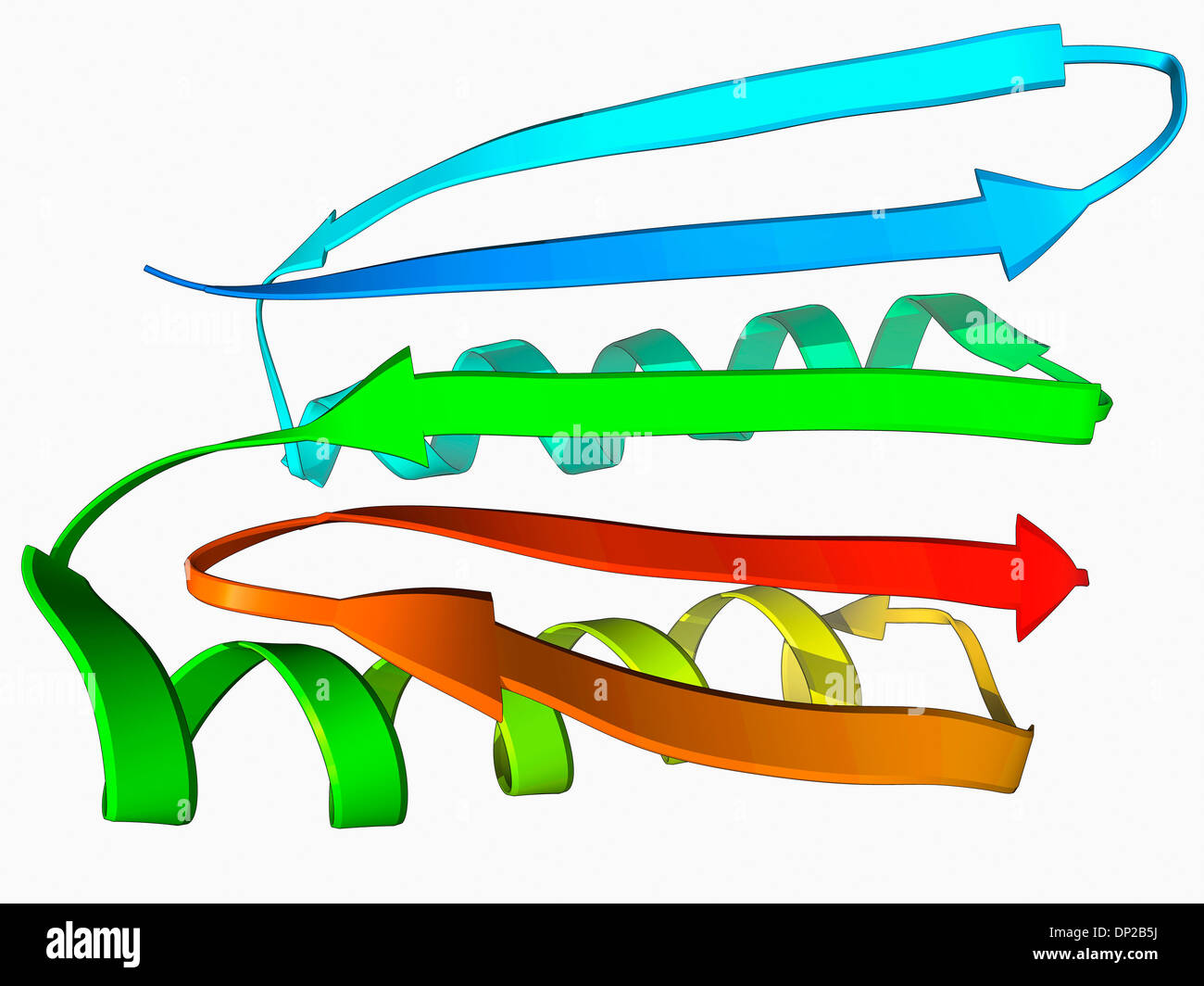 Protein model Cut Out Stock Images & Pictures - Alamy