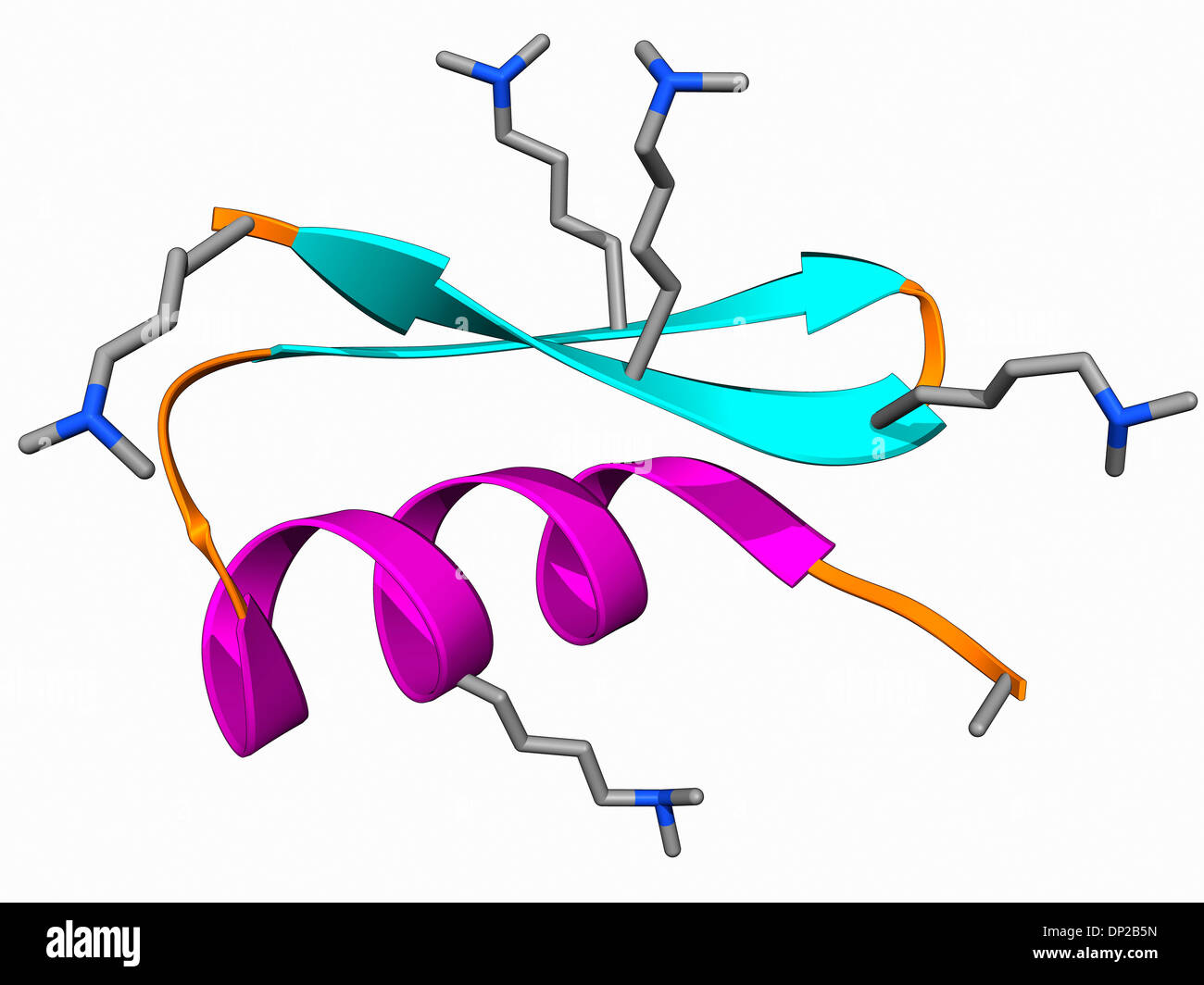 Chinese scorpion toxin structure Stock Photo - Alamy