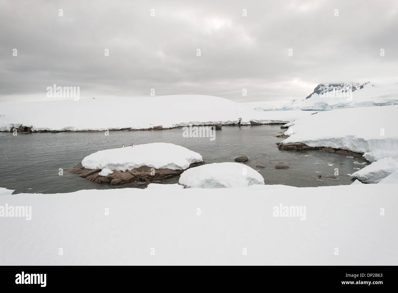 ANTARCTICA - A small inlet at Hughes Bay on the Antarctic Peninsula ...