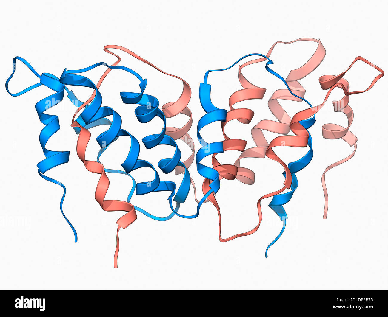 Interferon gamma hi-res stock photography and images - Alamy