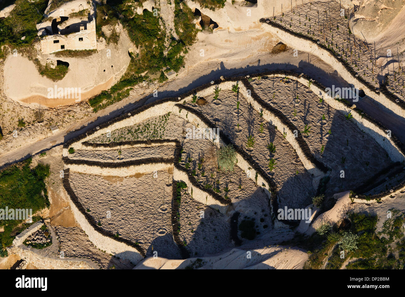 Aerial view on terraces in rocks for vineyards, fruit and vegetables ...