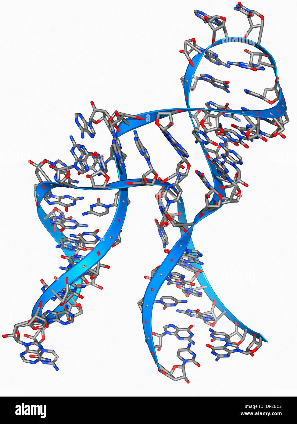 Hammerhead ribozyme molecule hi-res stock photography and images - Alamy