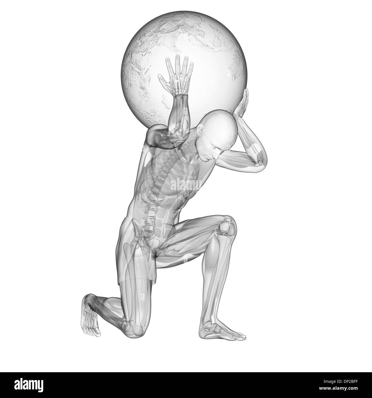 Skeleton anatomy medical atlas Black and White Stock Photos & Images ...