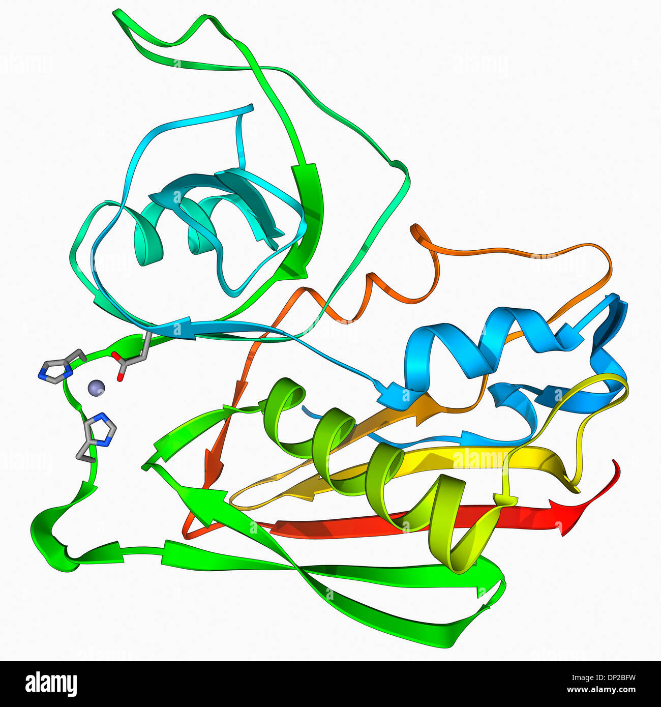 Staphylococcal enterotoxin C2 molecule Stock Photo: 65206509 - Alamy