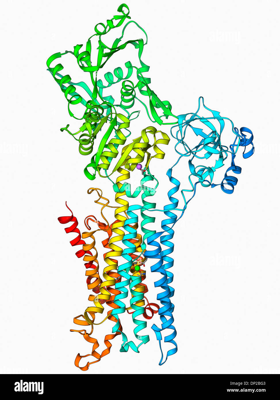 Atpase structure hi-res stock photography and images - Alamy