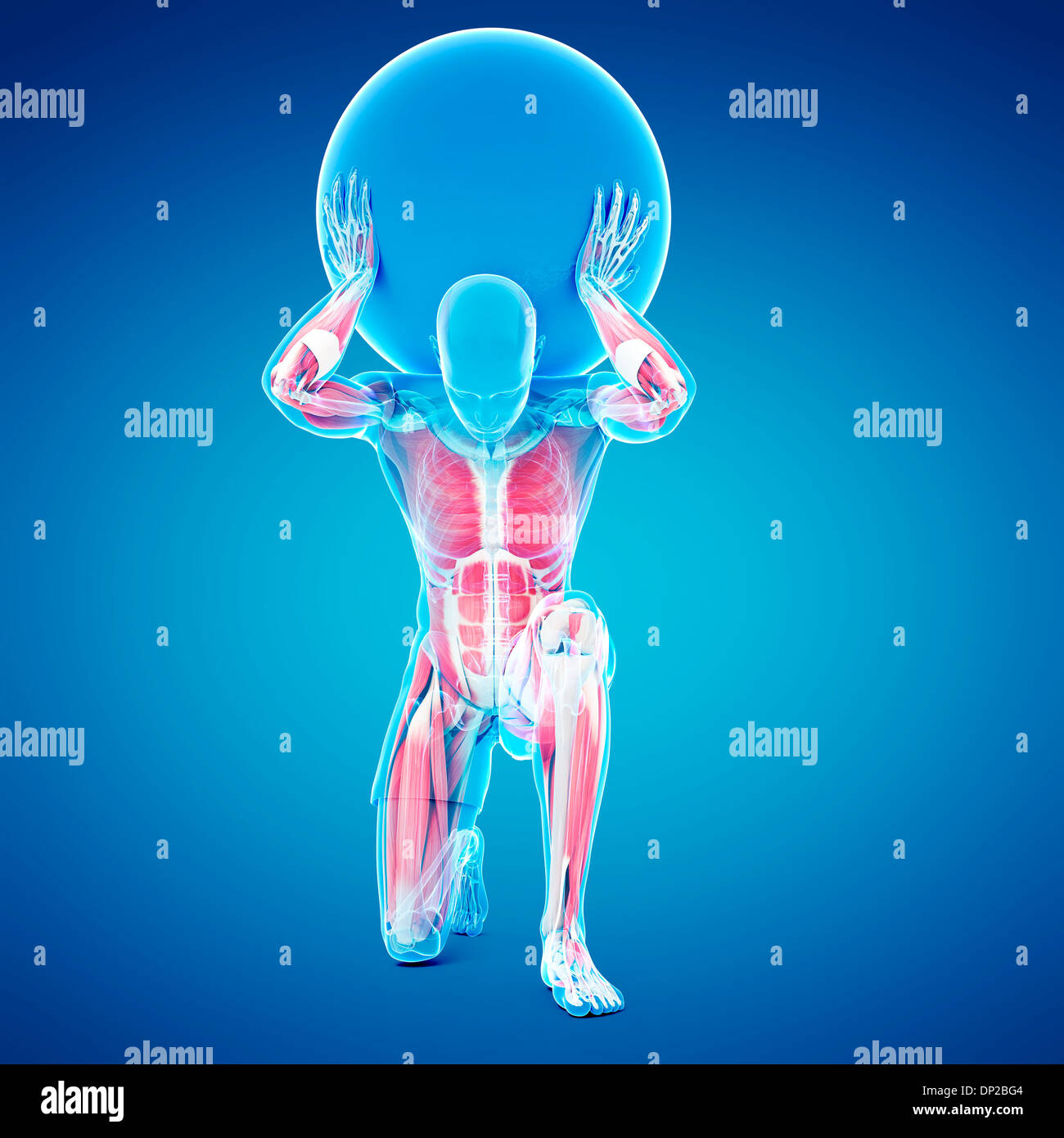 Atlas lifting globe, artwork Stock Photo - Alamy