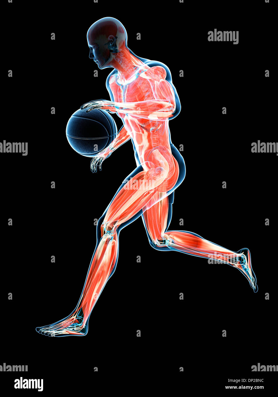 Black basketball player full body hi-res stock photography and images ...