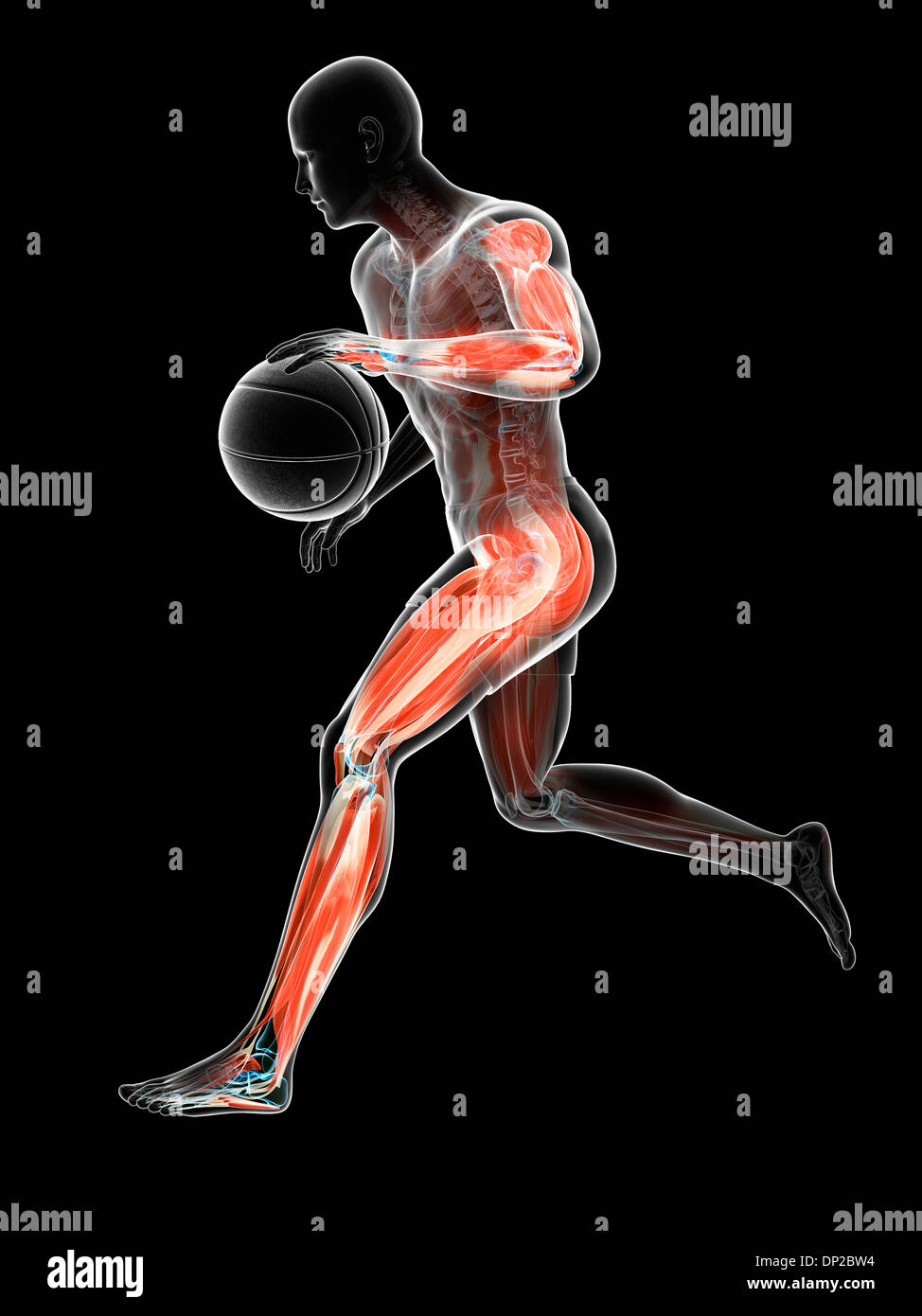 Black basketball player full body hi-res stock photography and images ...