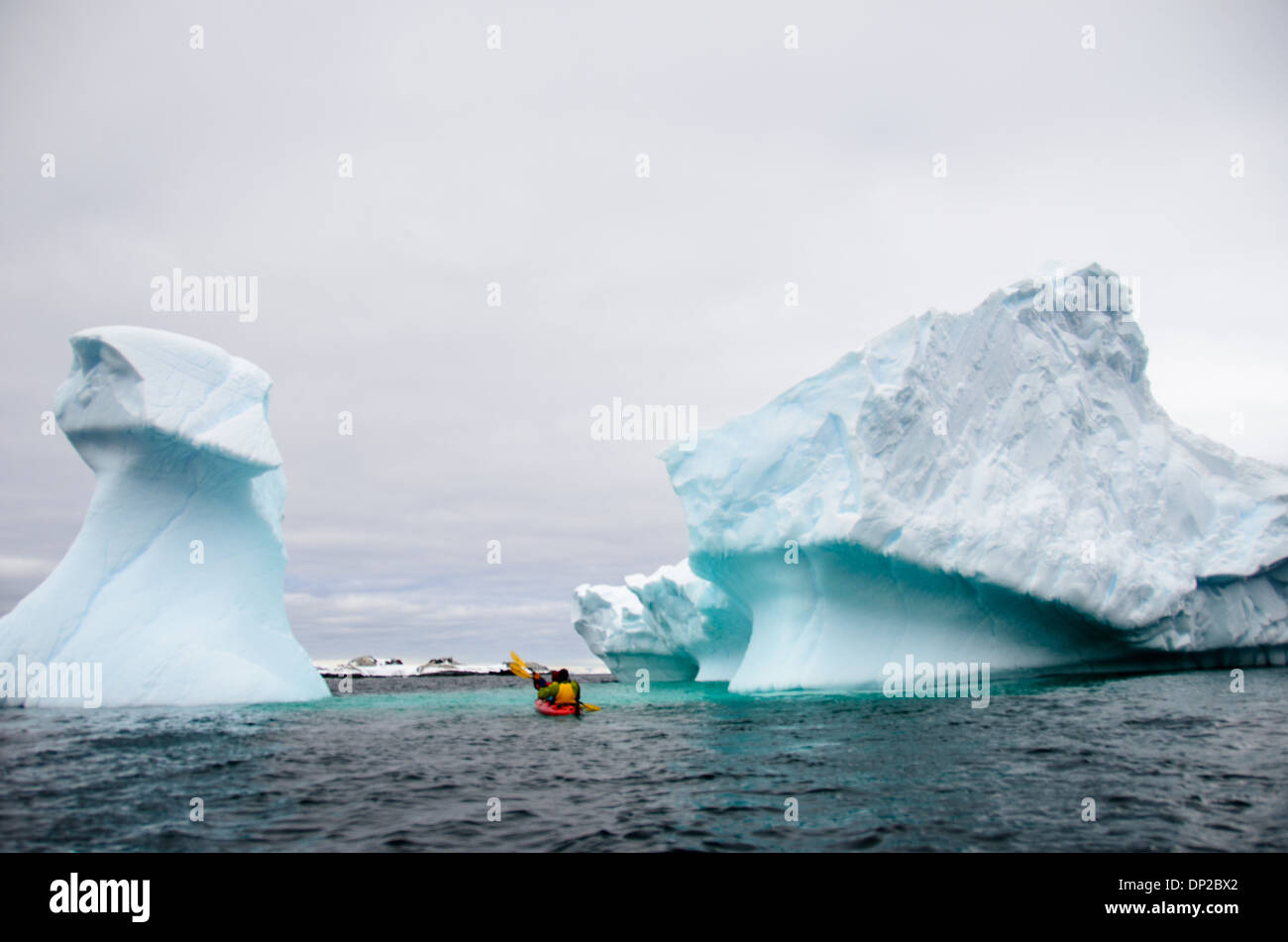 Iceberg Kayakers Two Hummock Island Antarctica // Kayakers in a tandem ...