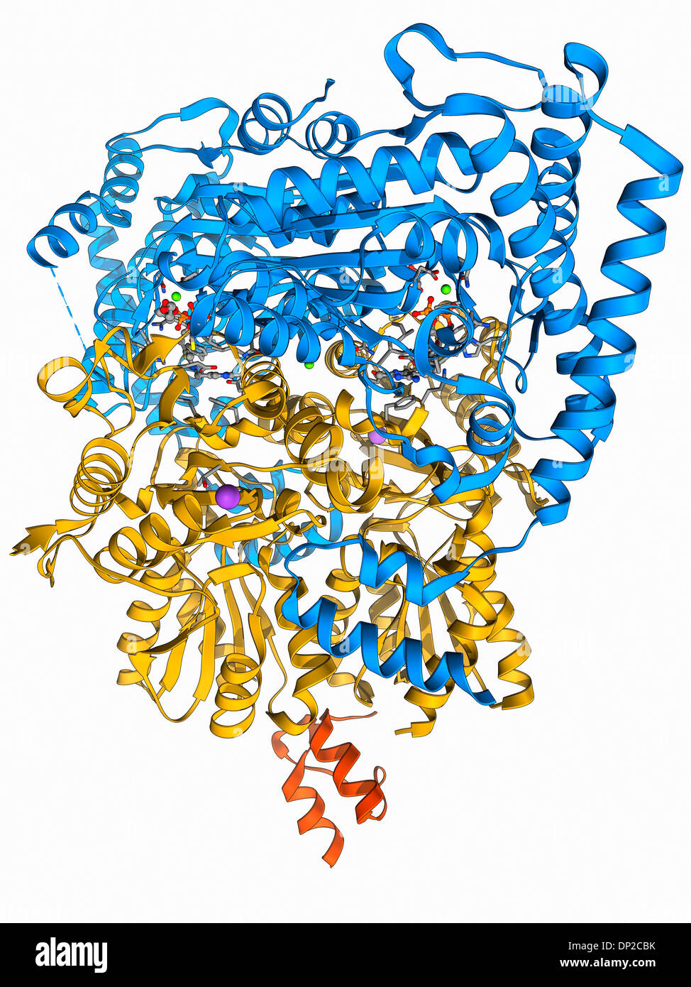 Pyruvate structure hi-res stock photography and images - Alamy