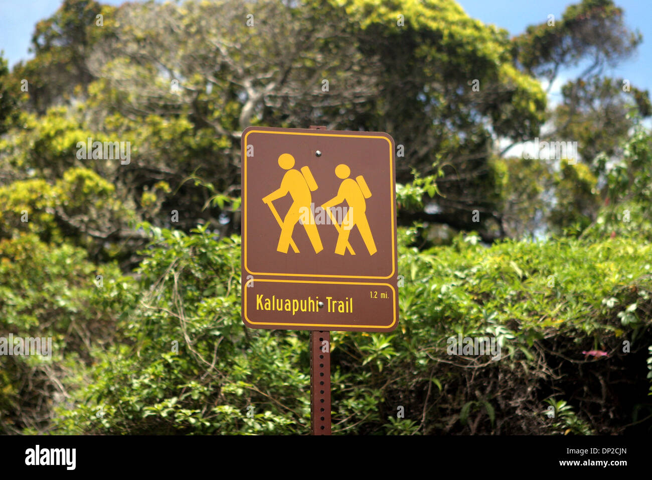 May 27, 2006; Kauai, HI, USA; A hiking trail sign for the Kaluapuhi ...
