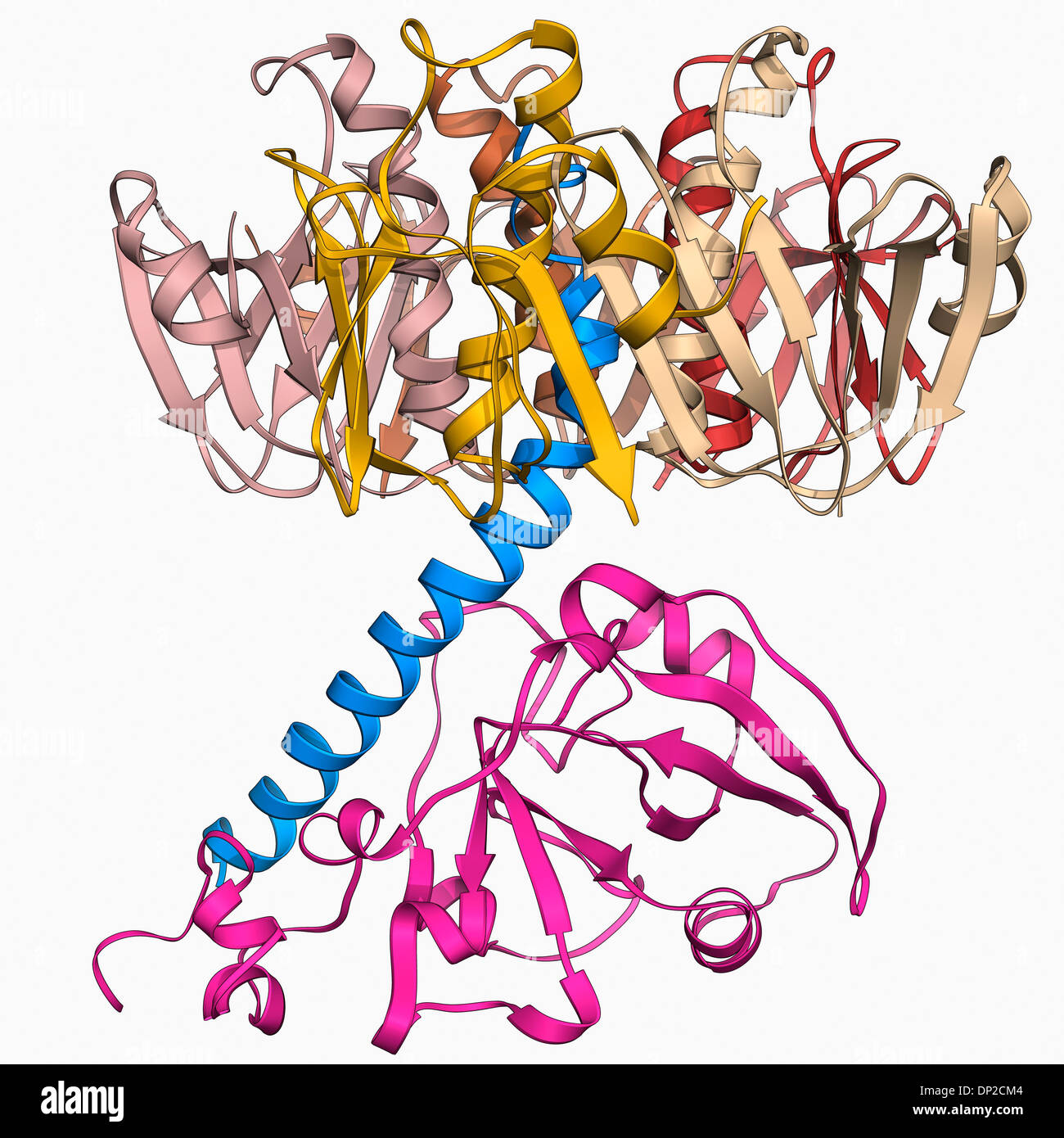 Toxin disorder hi-res stock photography and images - Alamy