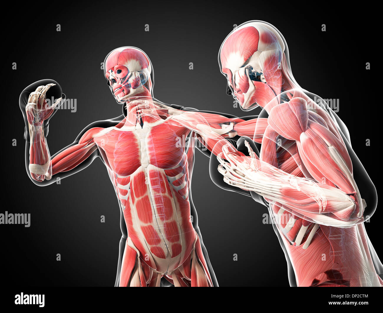 Boxing match, artwork Stock Photo - Alamy