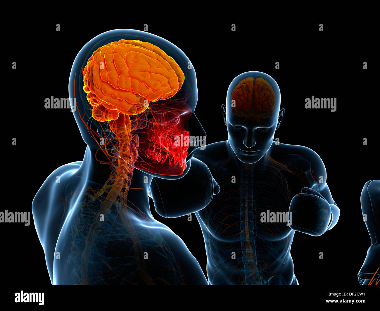 Boxing brain hi-res stock photography and images - Alamy
