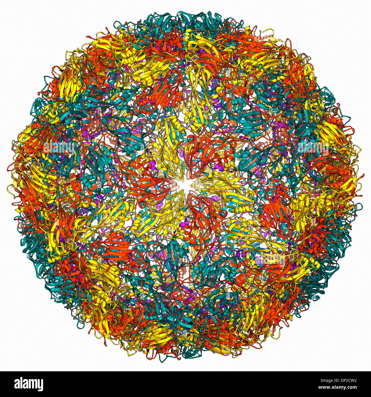 Foot-and-mouth disease virus Stock Photo - Alamy