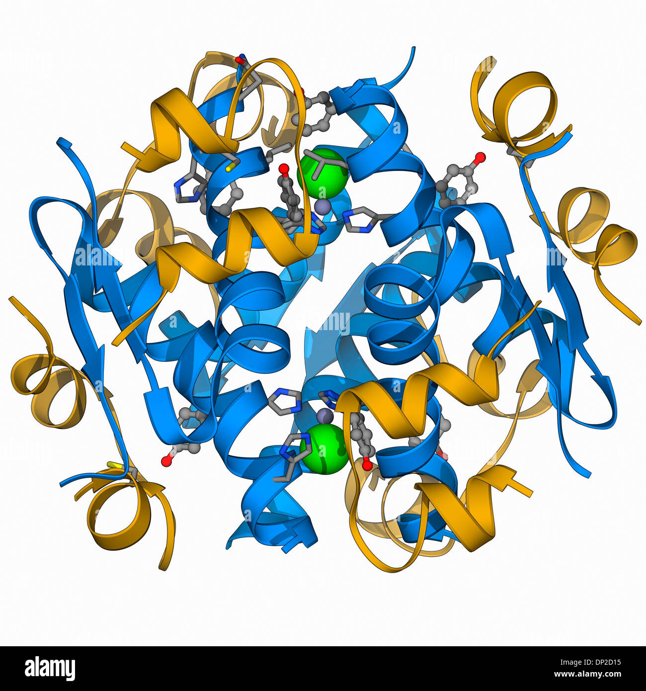 Insulin molecule hi-res stock photography and images - Alamy