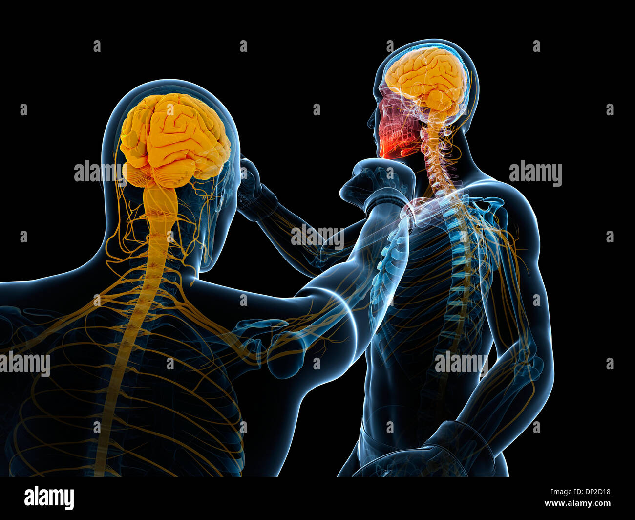 Boxing brain hi-res stock photography and images - Alamy