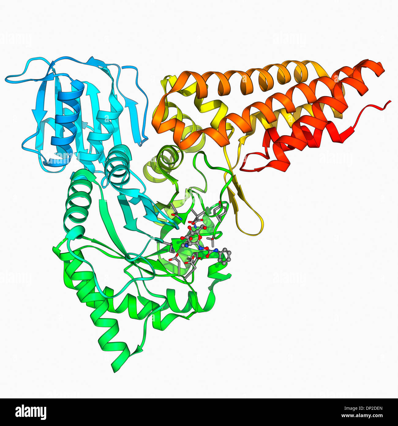 Family 84 glycoside hydrolase molecule Stock Photo - Alamy