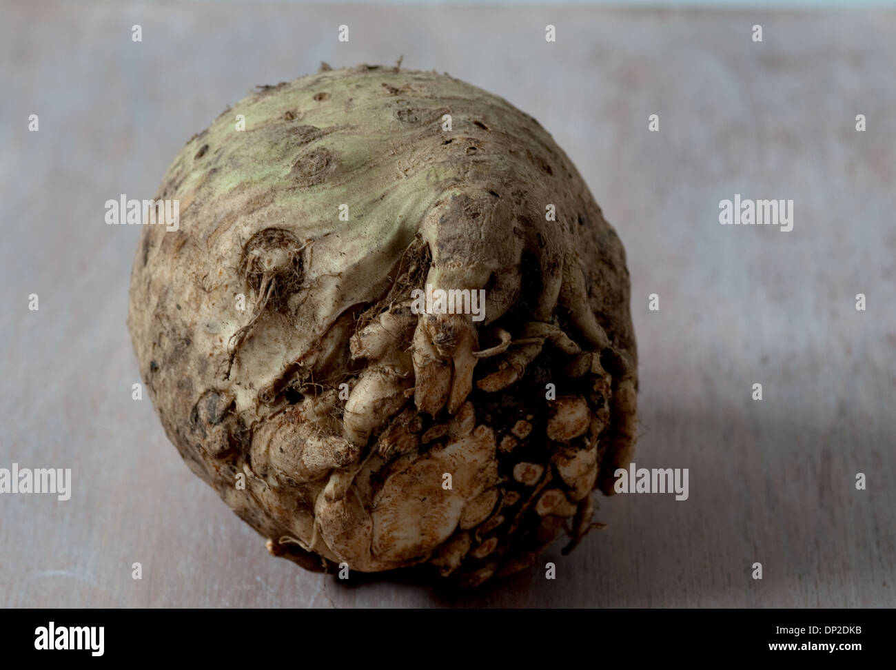 Still life food image of an organic Celeriac root vegetable Stock Photo ...