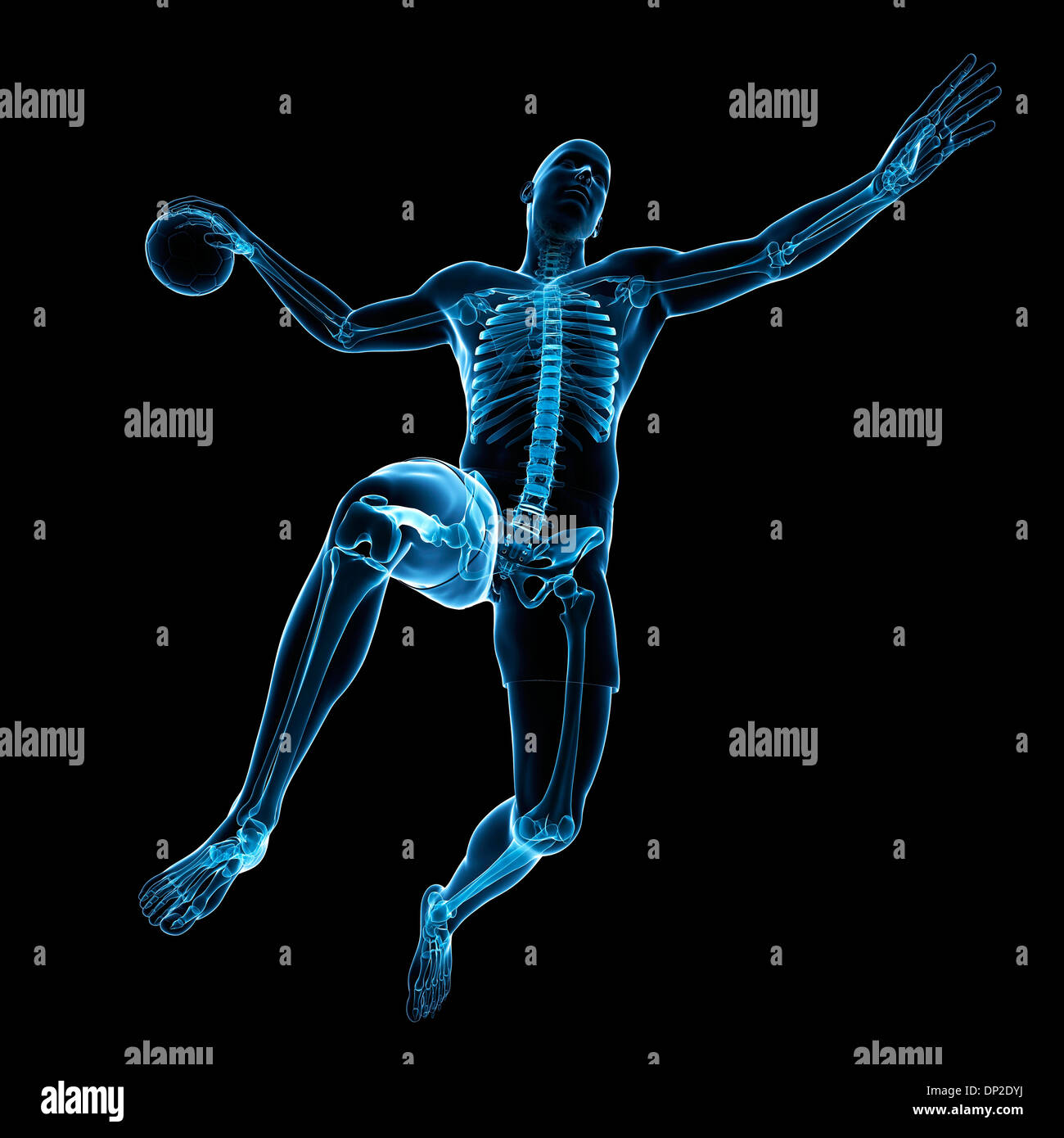 Anatomy of handball player hi-res stock photography and images - Alamy