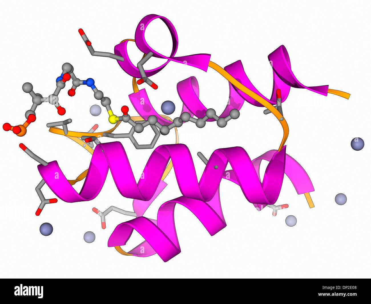 Acyl carrier protein molecule Stock Photo - Alamy