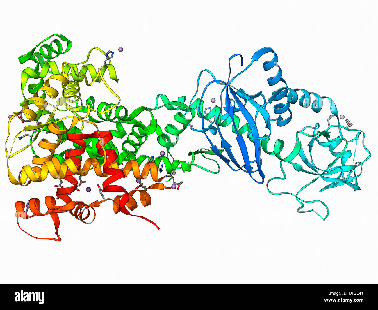 Rna interference hi-res stock photography and images - Alamy