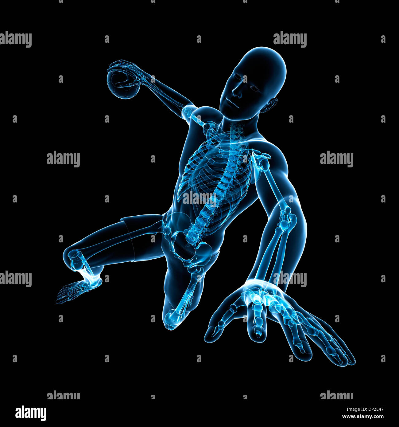 Anatomy of handball player hi-res stock photography and images - Alamy