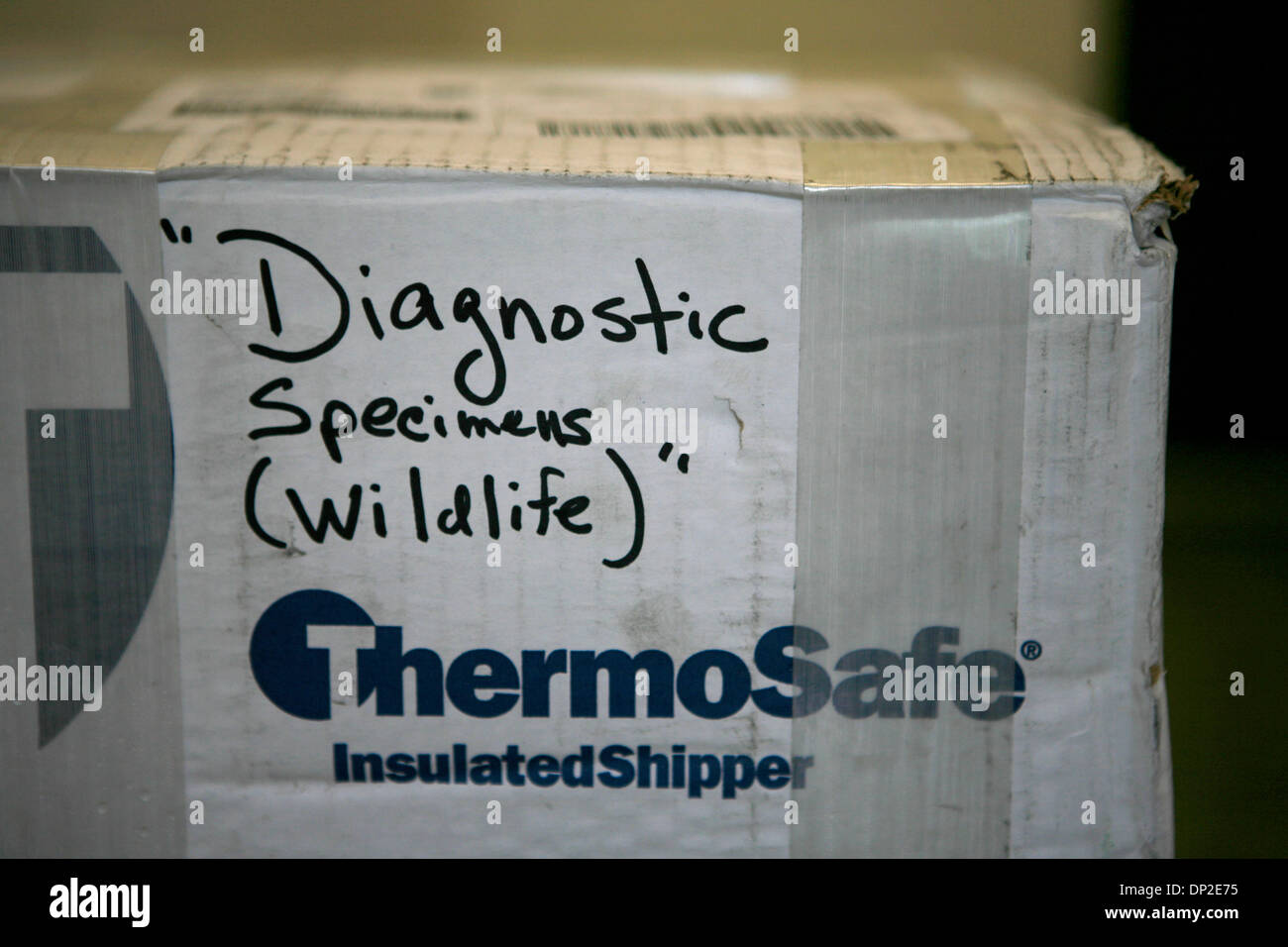 H5n1 testing hi-res stock photography and images - Alamy