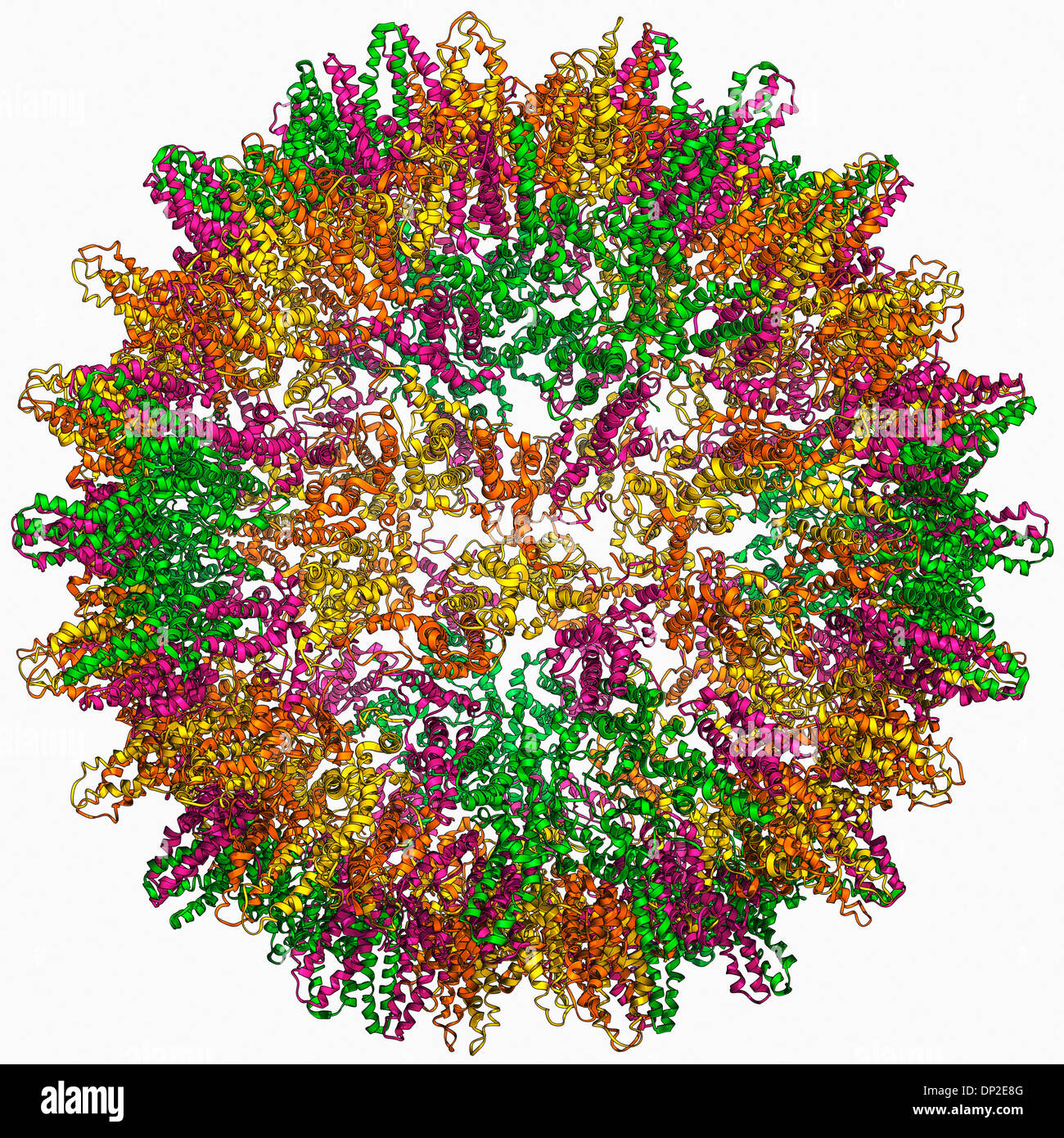 Hepatitis B virus capsid, molecular model Stock Photo: 65208656 - Alamy Hepatitis B virus capsid, molecular model Stock Photo: 65208656 - Alamy