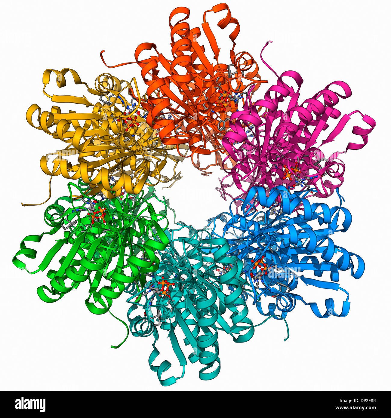 Circadian cycle hi-res stock photography and images - Alamy