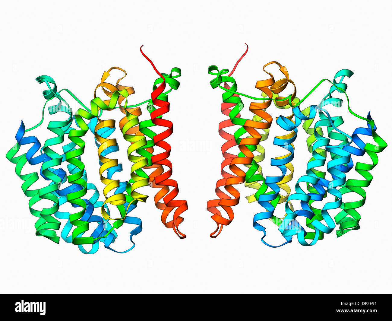 Multi drug transporter hi-res stock photography and images - Alamy