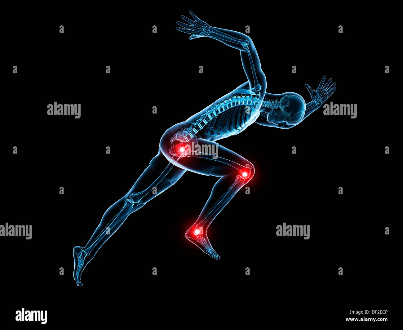 Medical skeleton running knee joints hi-res stock photography and ...